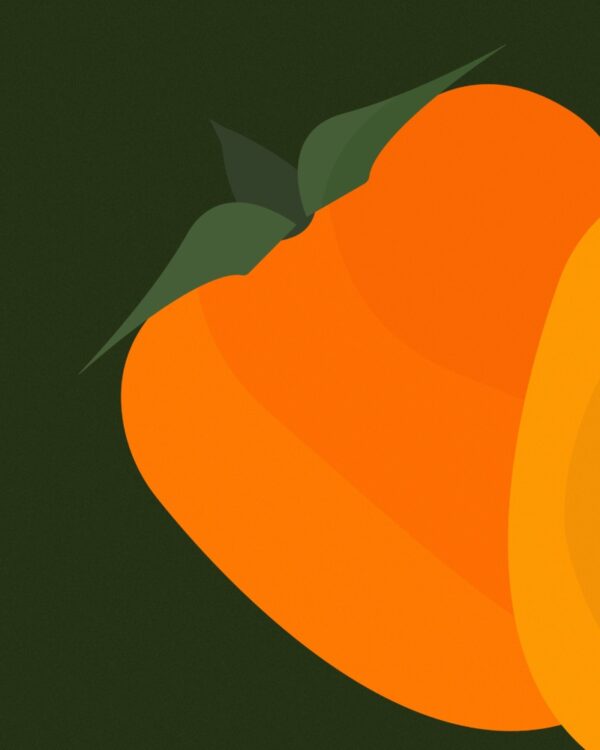 The Persimmon Kaki Print – Cuisitive